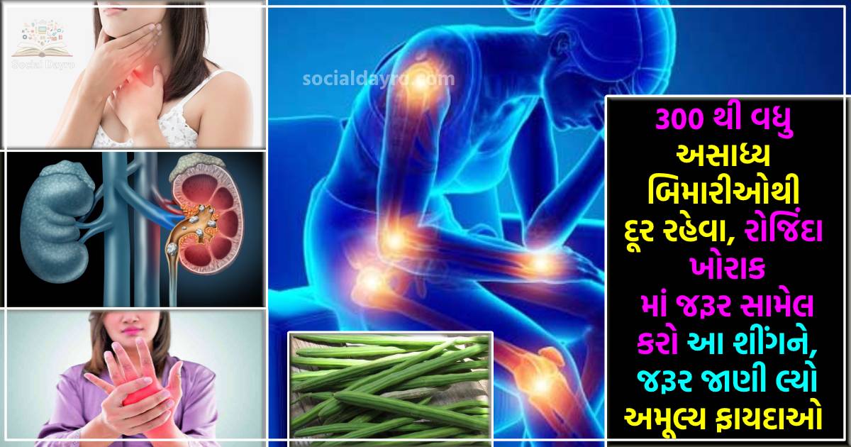 300 થી વધુ અસાધ્ય બિમારીઓથી દૂર રહેવા, રોજિંદા ખોરાક માં જરૂર સામેલ કરો ...