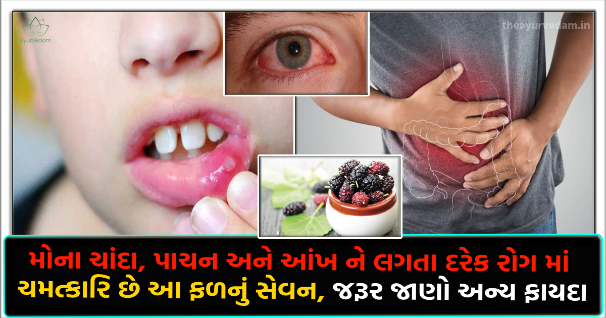 મોના ચાંદા, પાચન અને આંખ ને લગતા દરેક રોગ માં ચમત્કારિ છે આ ફળનું સેવન ...